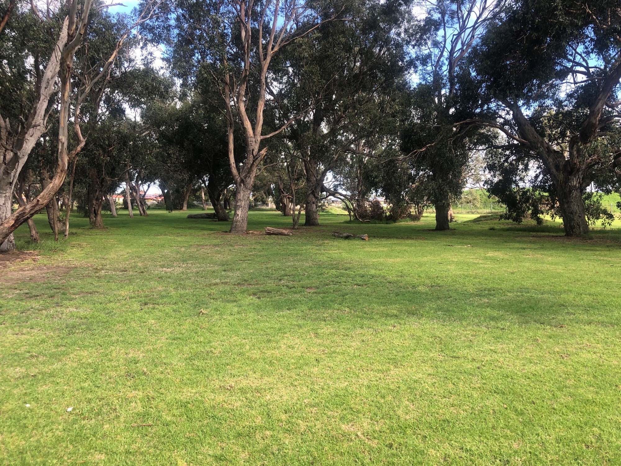 Walnut Way Reserve | Playground projects 2022 | Creating Cardinia