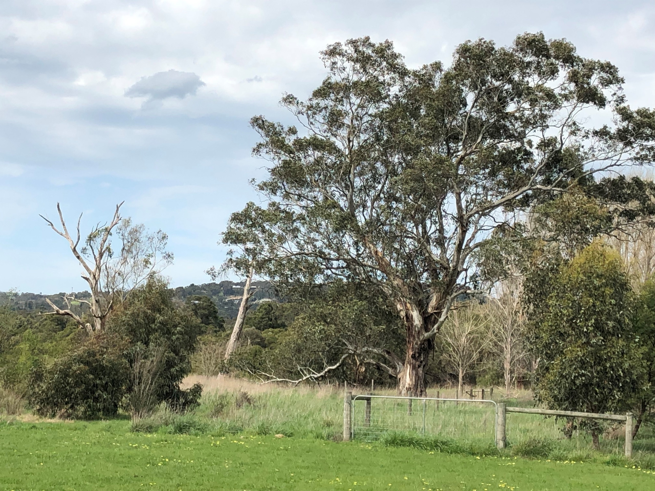 Cardinia Creek Regional Parklands - Have you say! | Creating Cardinia