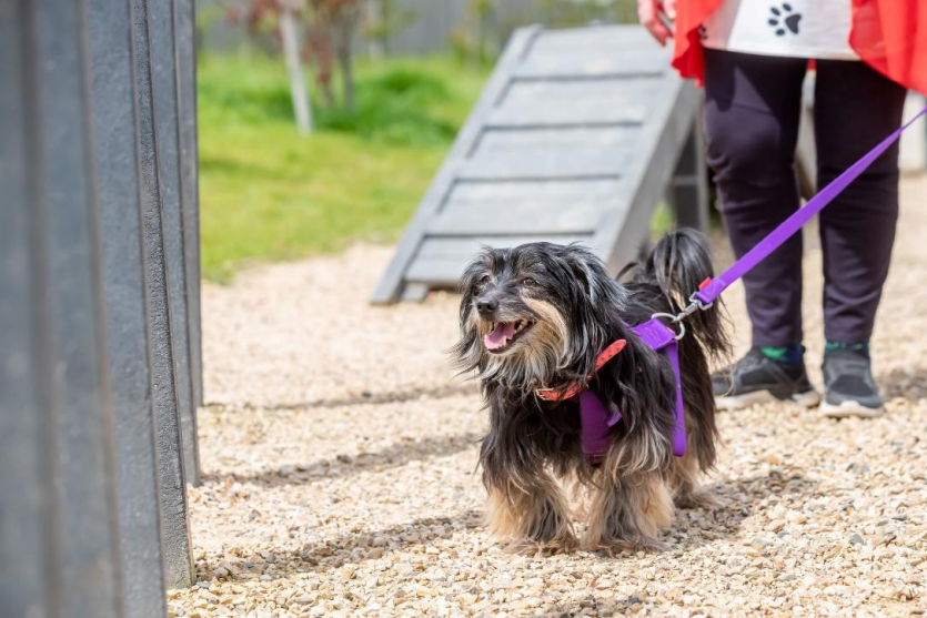 Parks Week 2023 | Cardinia Shire Sporting Club Portal | Creating Cardinia