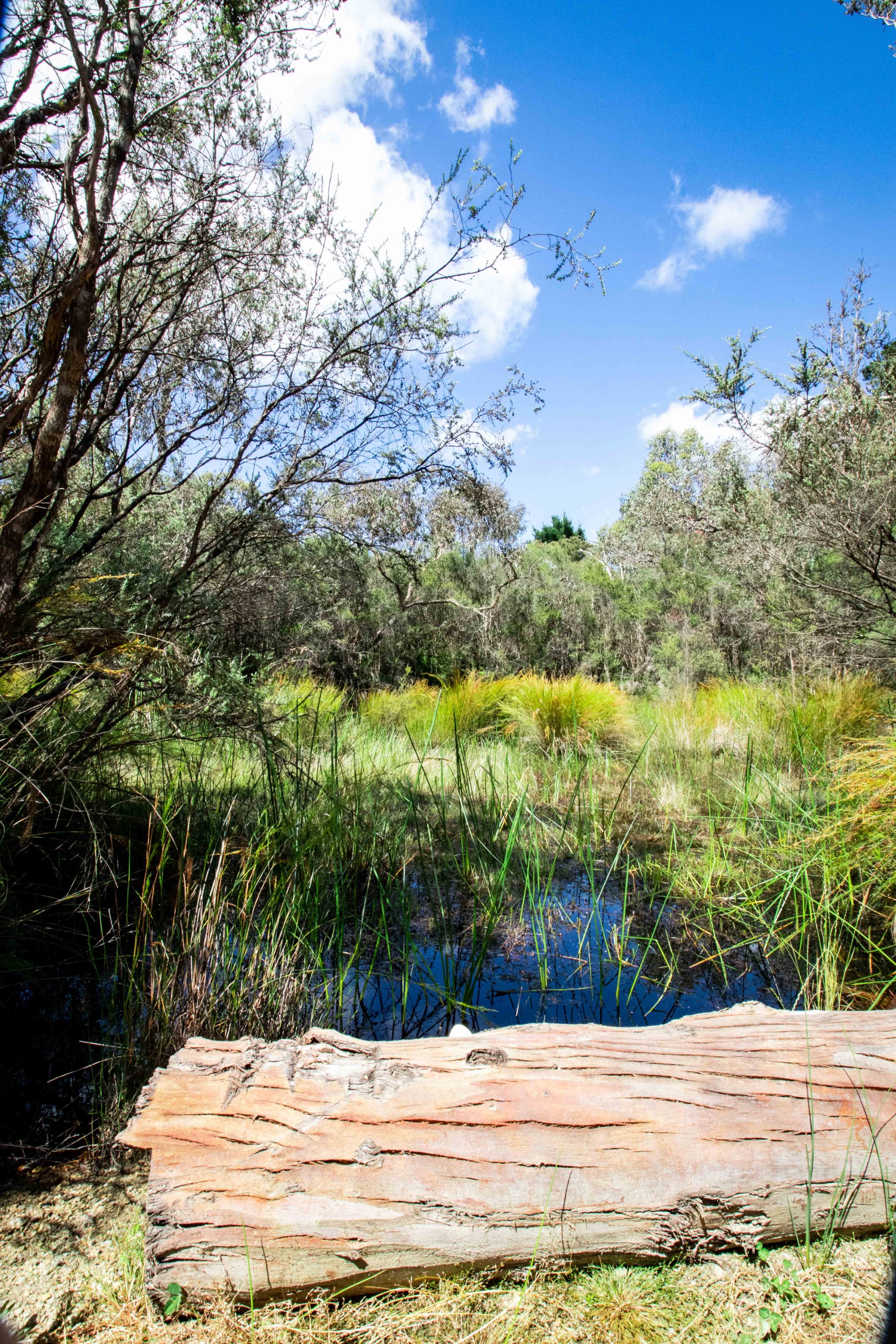 Garfield North Community Centre | Creating Cardinia